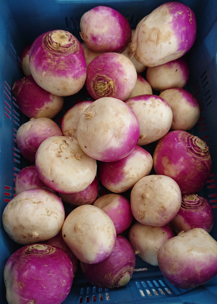 Navet-500 g - Ferme Bel-Air