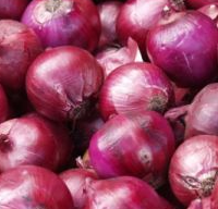 Oignon Rouge - 1 kg - Ferme Bel-Air